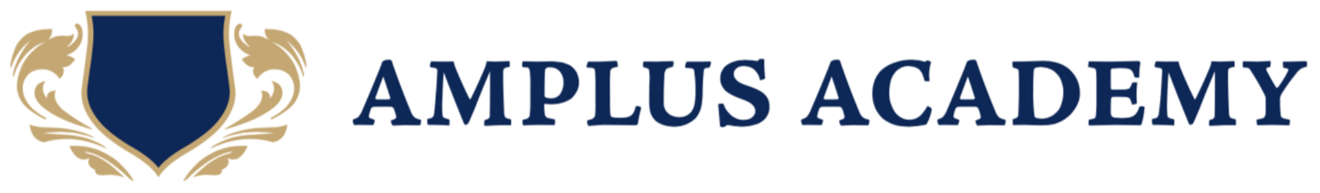 Amplus Academy